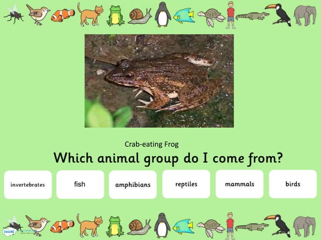Animal types, diferent types of birds, fishes and earth animals | PPT