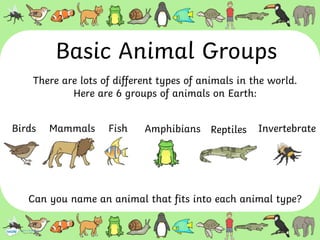 Animal types, diferent types of birds, fishes and earth animals | PPT