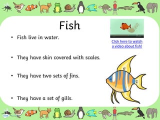 Animal types, diferent types of birds, fishes and earth animals | PPT