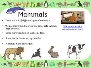 Animal types, diferent types of birds, fishes and earth animals | PPT