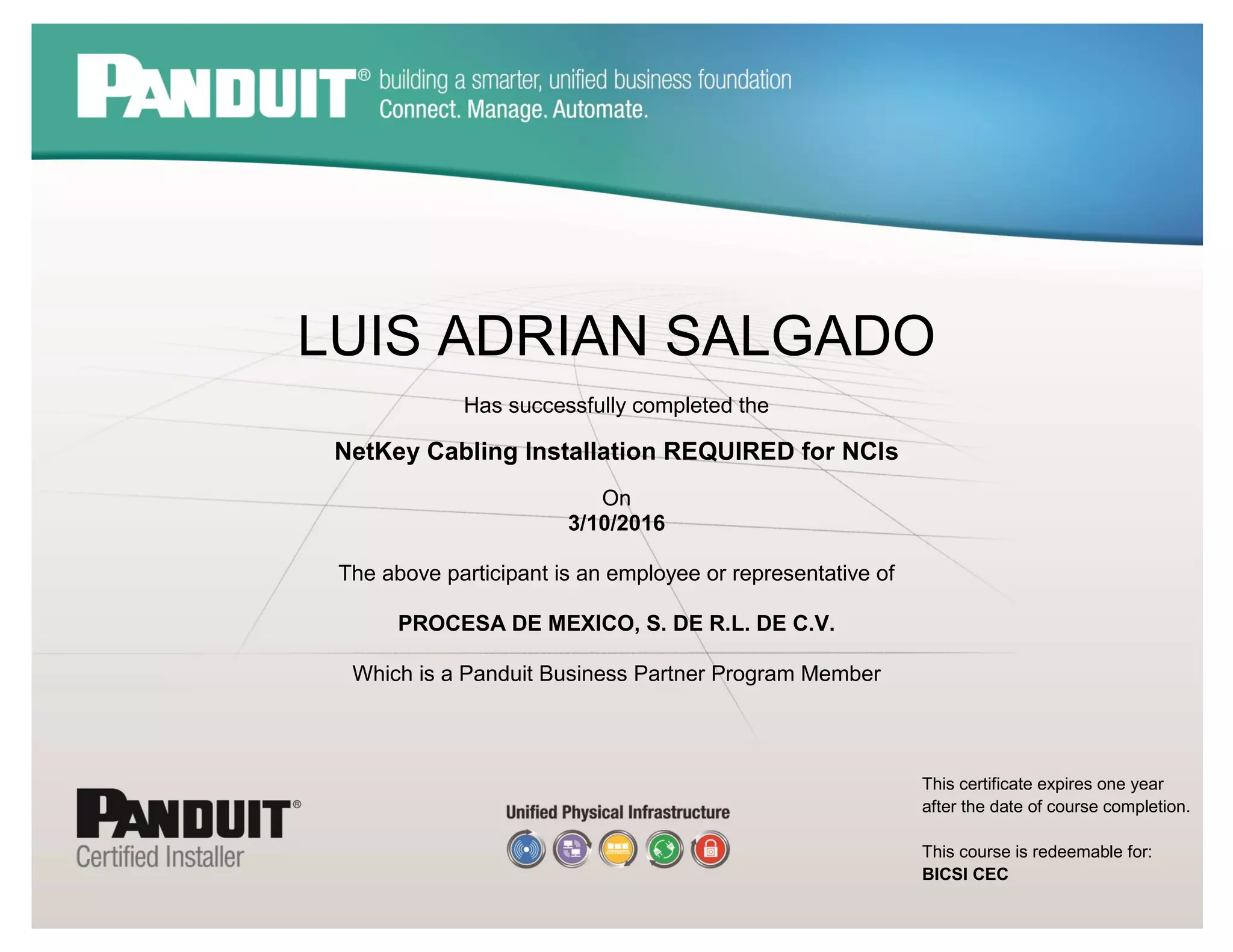 presentacion ingles PROCESA ingles | PDF