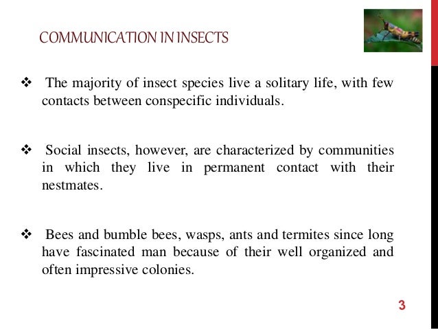 INSECT COMMUNICATION CREDIT