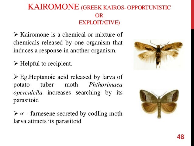 INSECT COMMUNICATION CREDIT