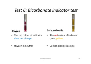 -form-1-science-chapter-5-part-1 | PDF