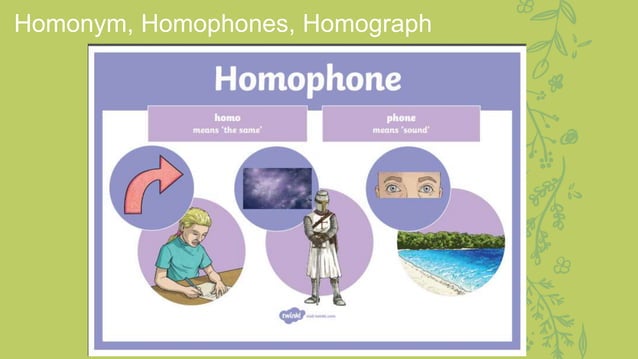 homophone homonym homograph | PPT