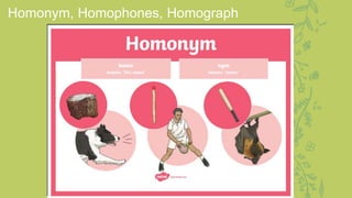 homophone homonym homograph | PPTX