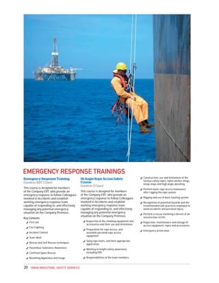 DISS COMPANY PROFILE | PDF