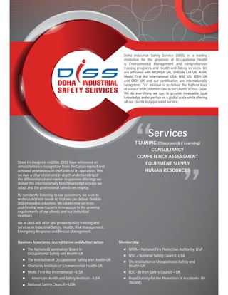 DISS COMPANY PROFILE | PDF