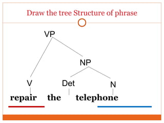 495475160-Tree-Diagram-Sentence-Review.ppt