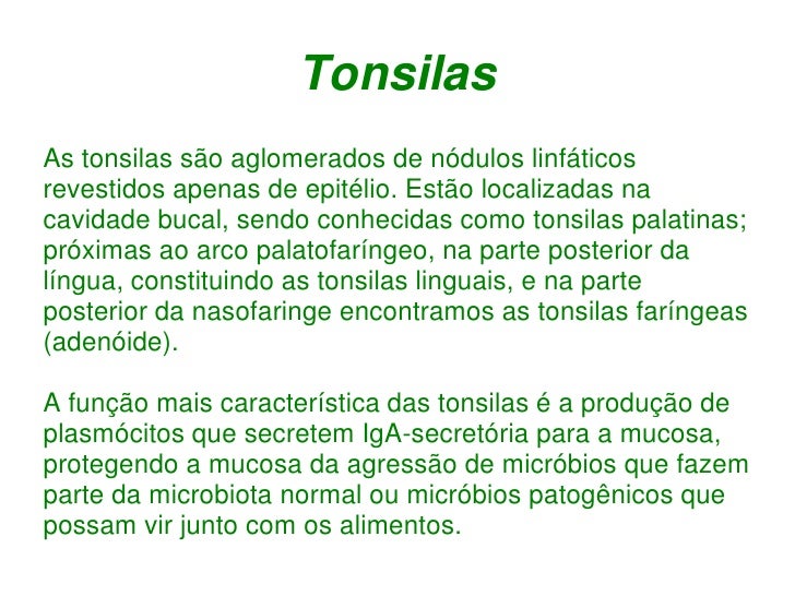 aula sist linfático