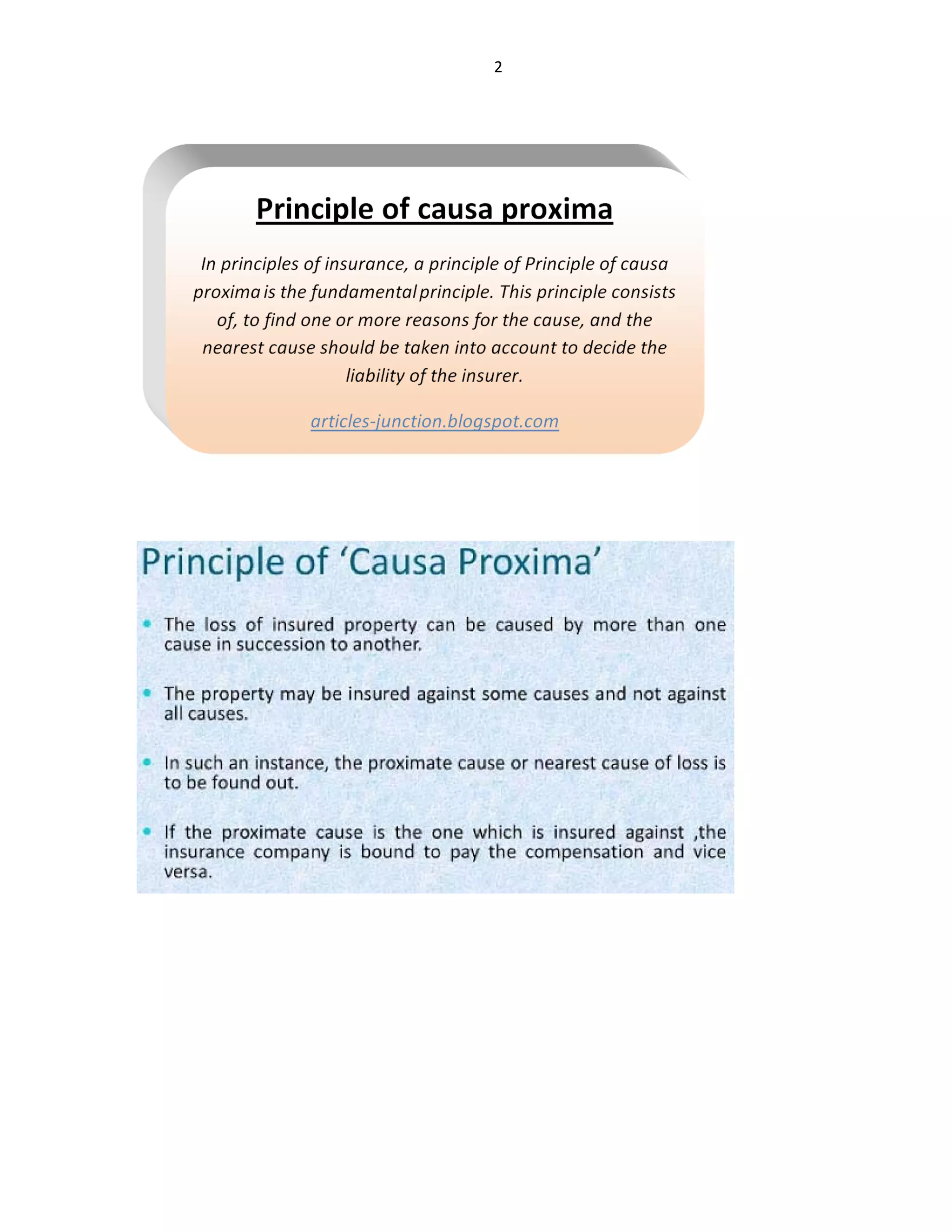 495) causa proxima | PDF