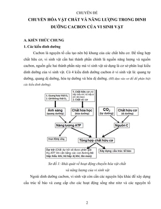 CHUYÊN ĐỀ CHUYỂN HÓA VẬT CHẤT VÀ NĂNG LƯỢNG TRONG DINH DƯỠNG CACBON CỦA VI SINH VẬT | PDF