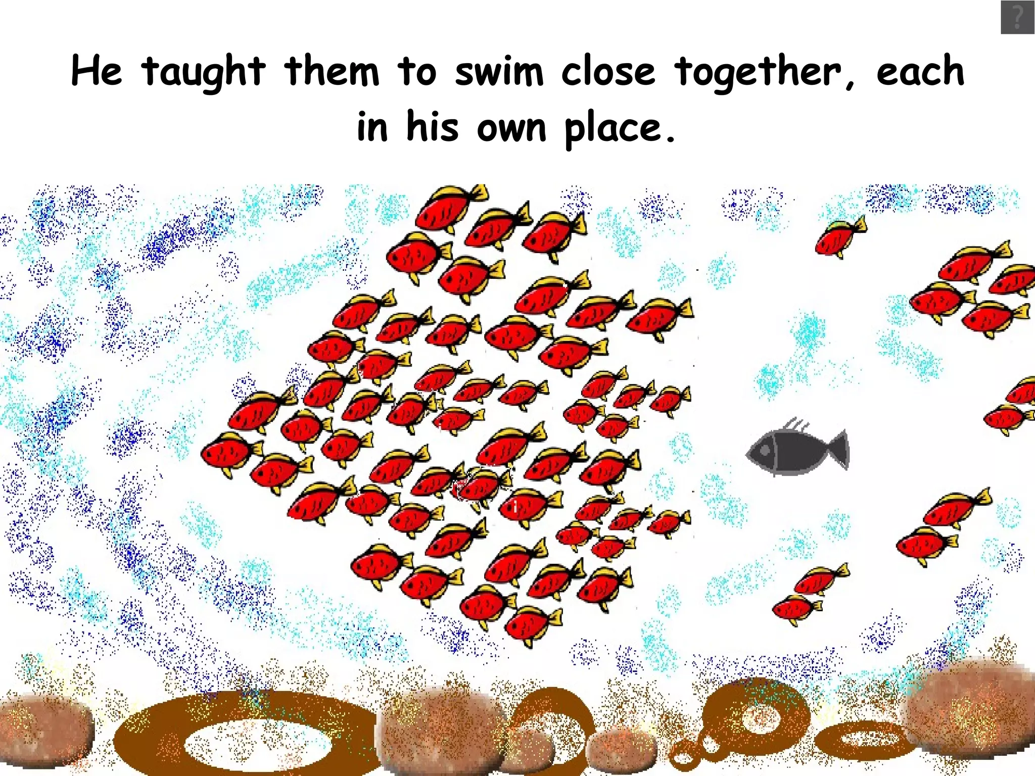 Swimmy | PPT | Fish and Aquariums | Pets