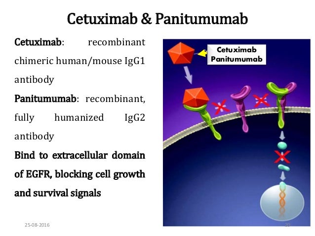 Targeted cancer therapies