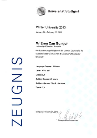 German Level Certificate | PDF