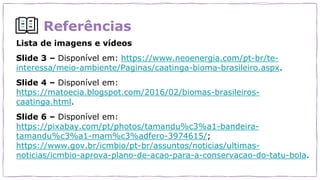 Dia da Caatinga - 7o ano | PPT