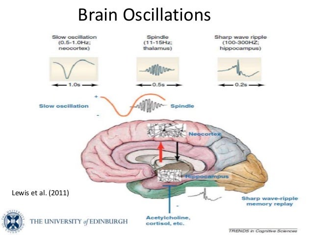 DissPresentation 0419