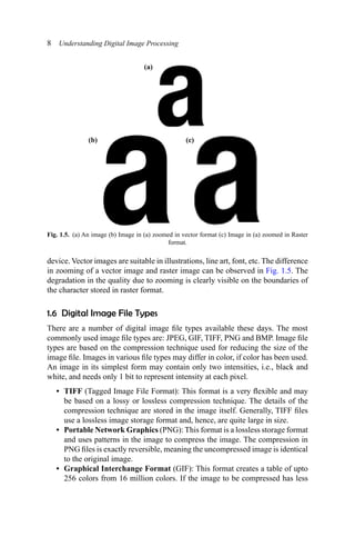 Understanding Digital Image Processing Tyagi Vipin | PDF