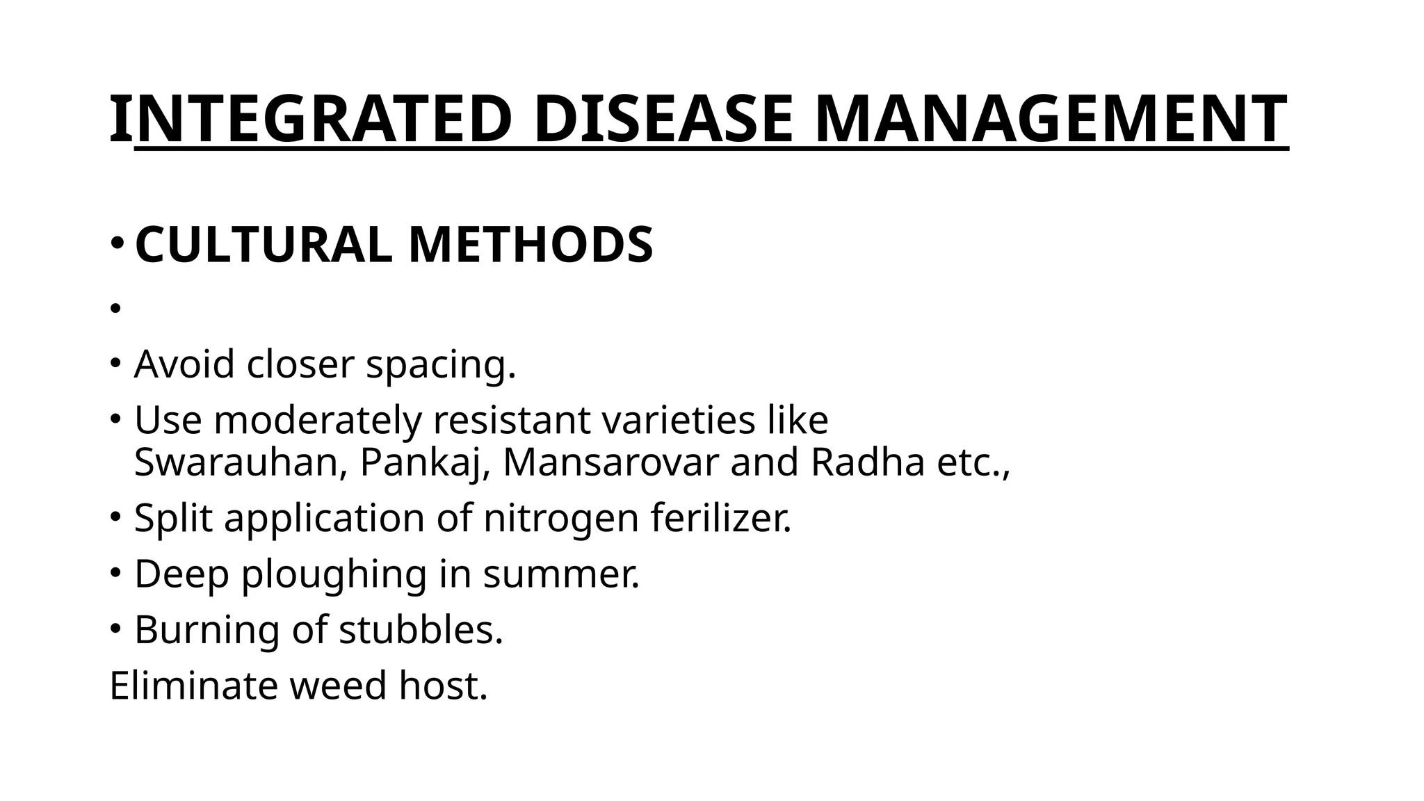 4979sheath blight and rot in paddy_085653.pptx