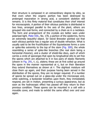Geographic Thought A Critical Introduction | PDF