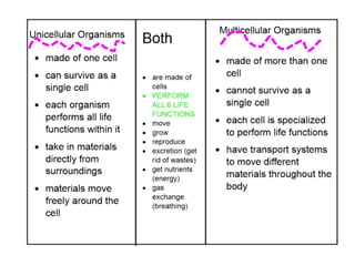 498096872-Unicellular-and-Multicellular-Organisms.pptx