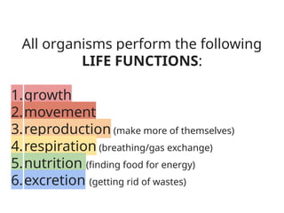 498096872-Unicellular-and-Multicellular-Organisms.pptx