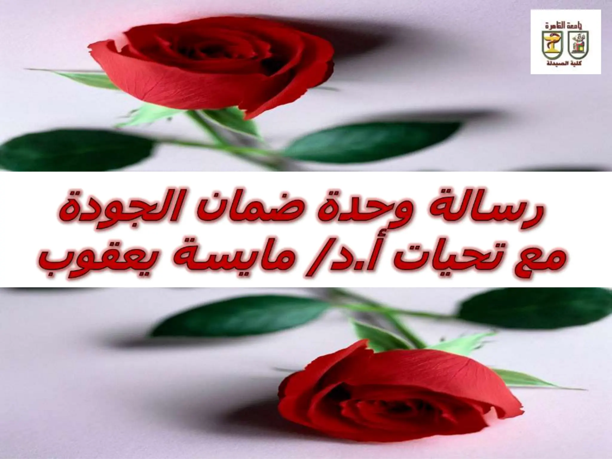 4982212.ppt4982212.ppt4982212.pptLec_6 (Functions and Modules and Multi ...