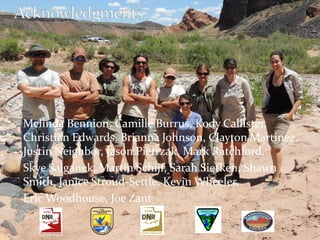Status of Translocated Tortoises in Southwest Utah | PPT