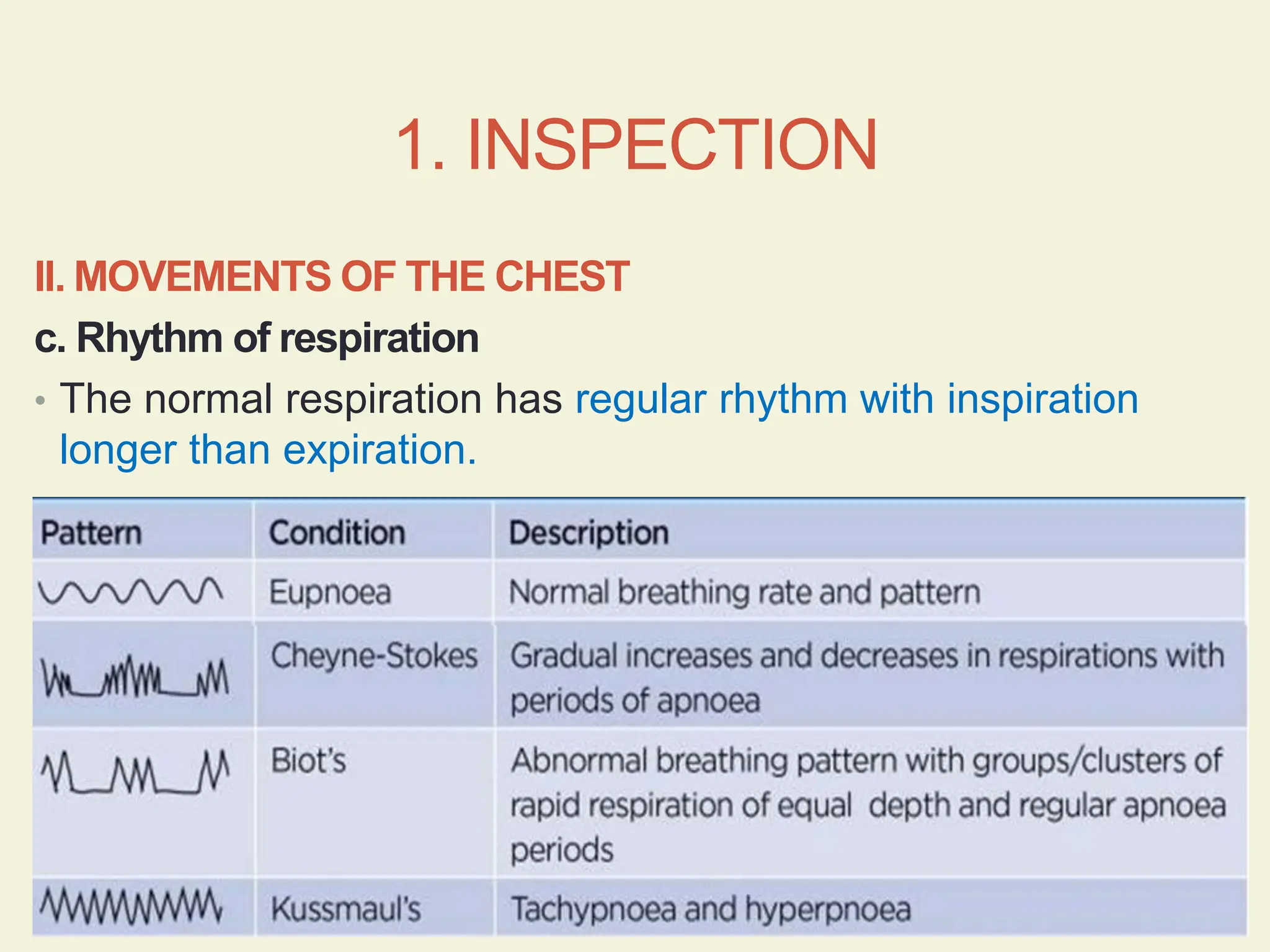 498485741-Respiratory-System-Examination.pptx
