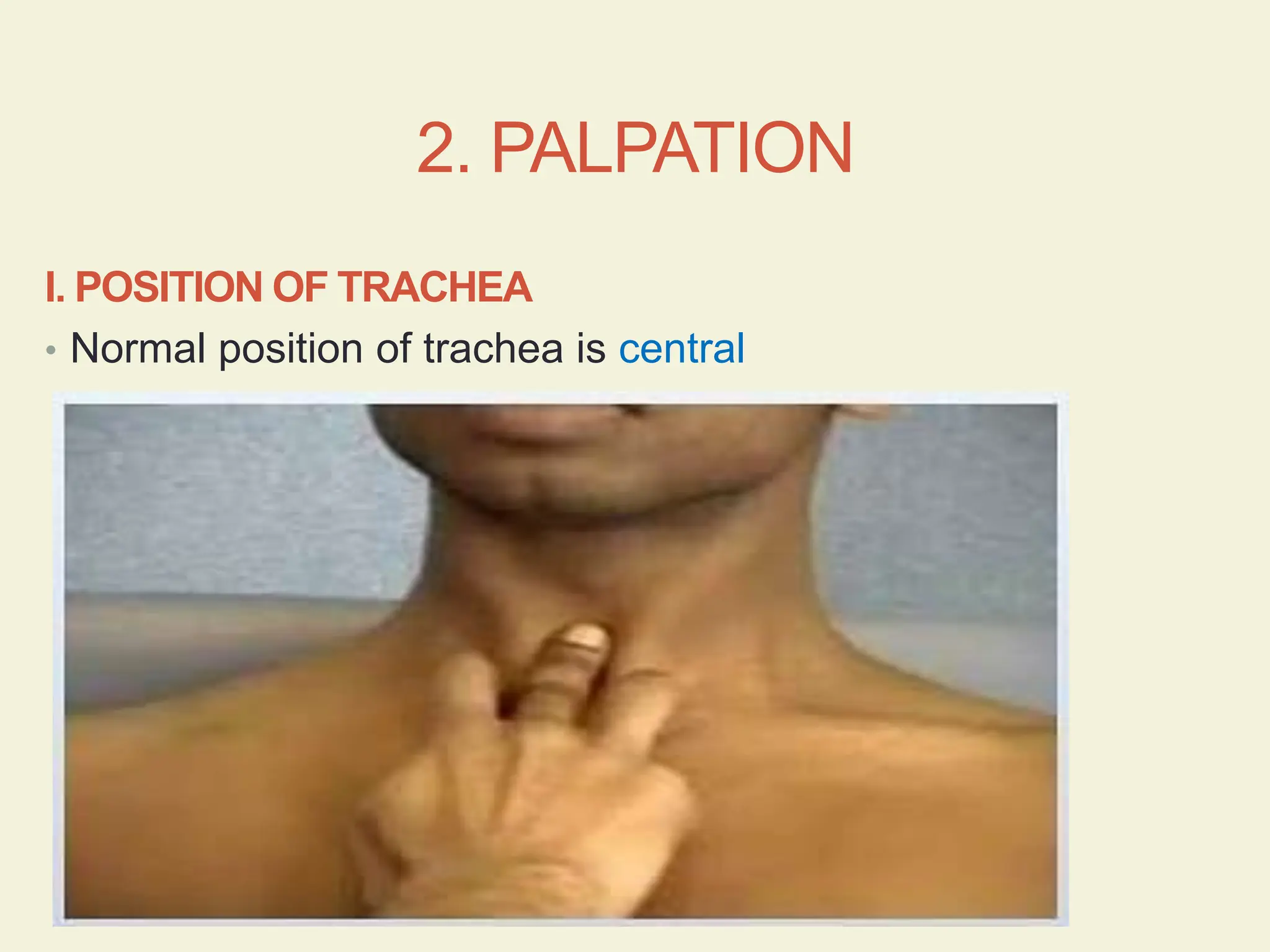 498485741-Respiratory-System-Examination.pptx