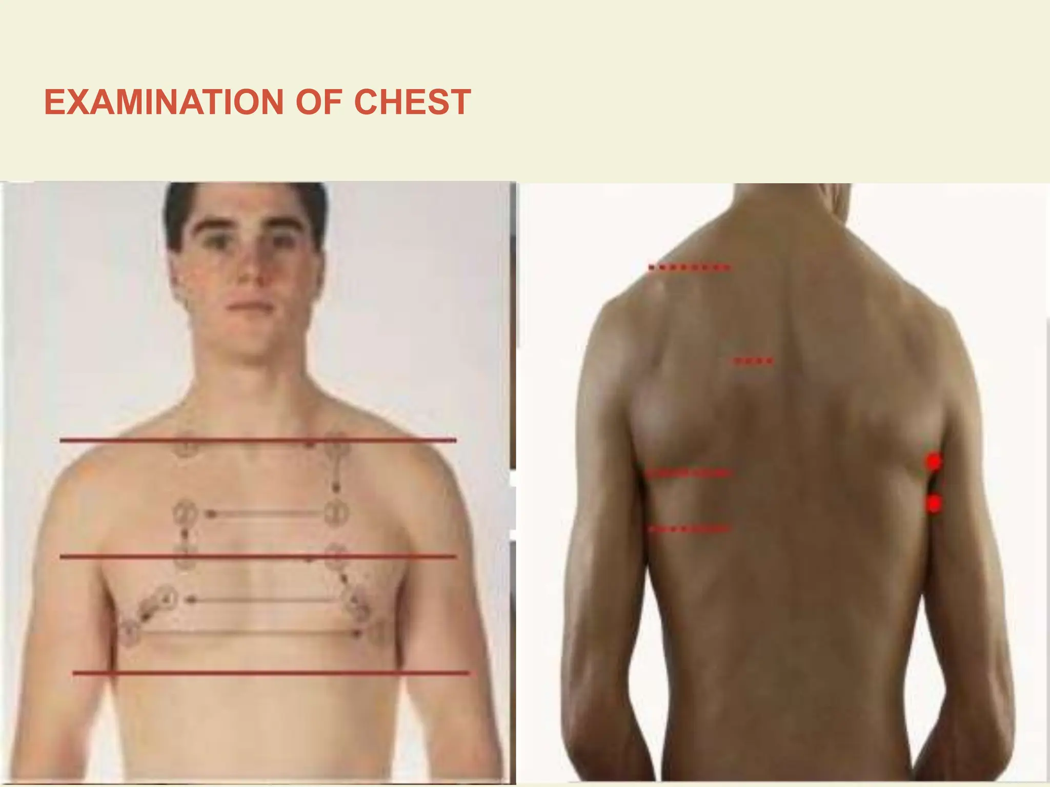 498485741-Respiratory-System-Examination.pptx