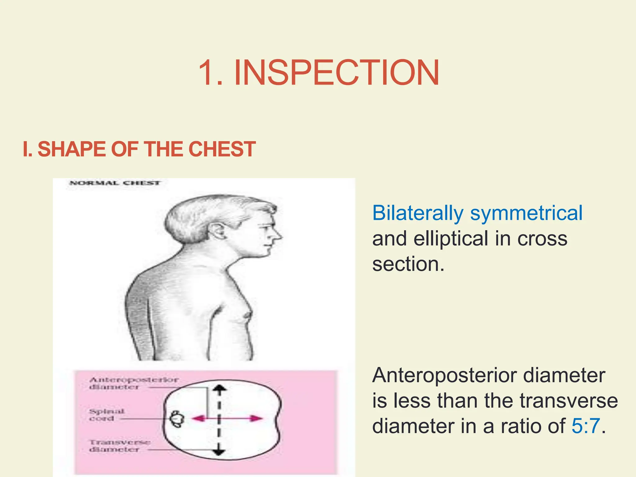 498485741-Respiratory-System-Examination.pptx