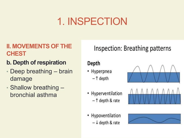 498485741 Respiratory System Examination Pptx