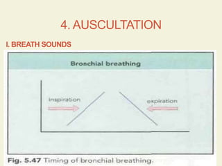 498485741-Respiratory-System-Examination.pptx