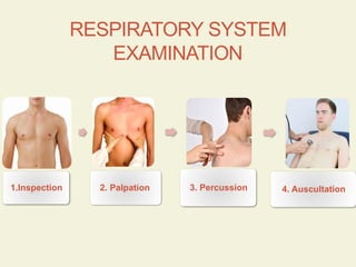 498485741-Respiratory-System-Examination.pptx