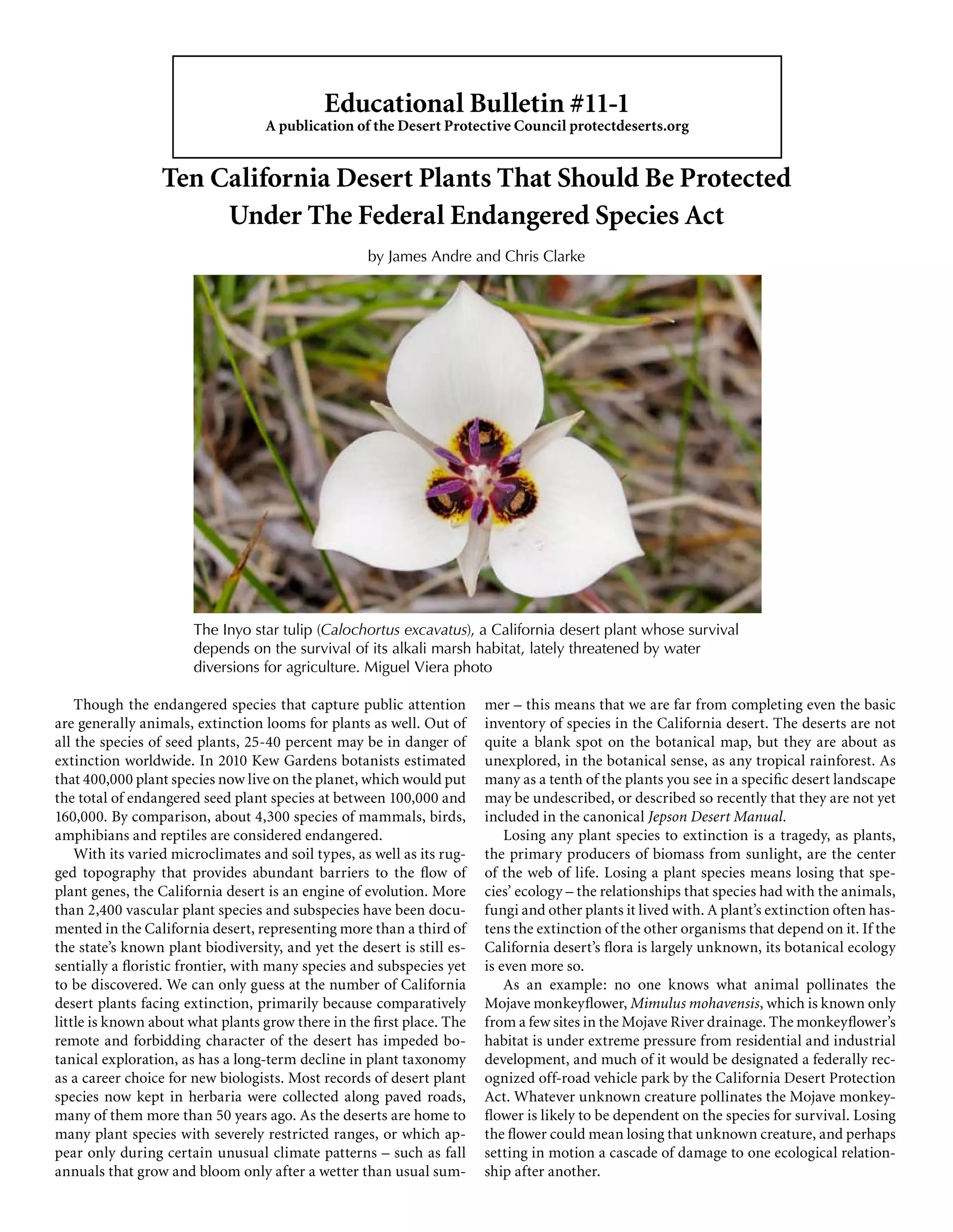 49882138 ten-california-desert-plants-that-should-be-protected-under ...