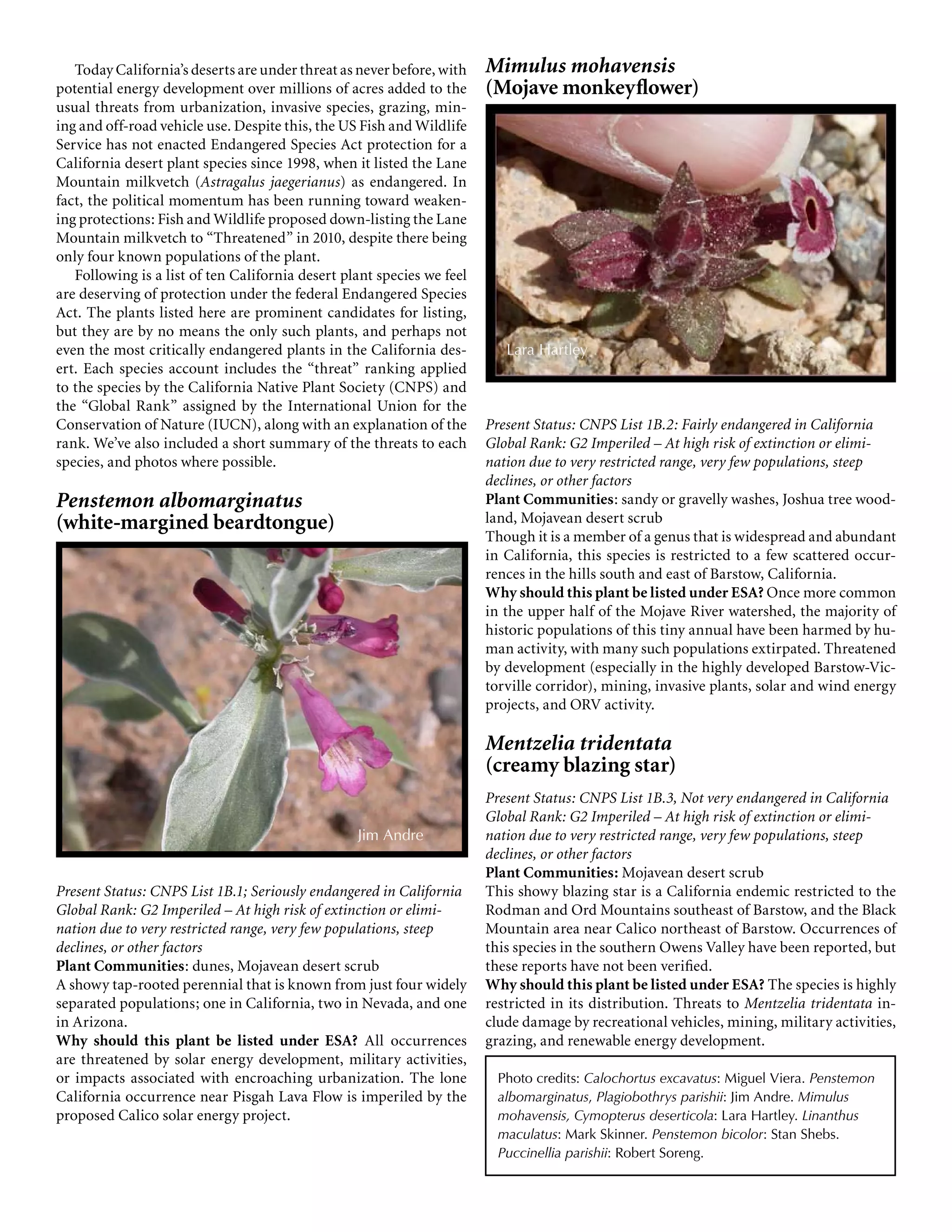 49882138 ten-california-desert-plants-that-should-be-protected-under ...