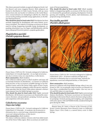 49882138 ten-california-desert-plants-that-should-be-protected-under ...