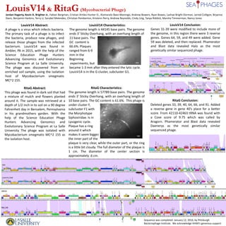 HHMI Poster 1 051006 | PDF