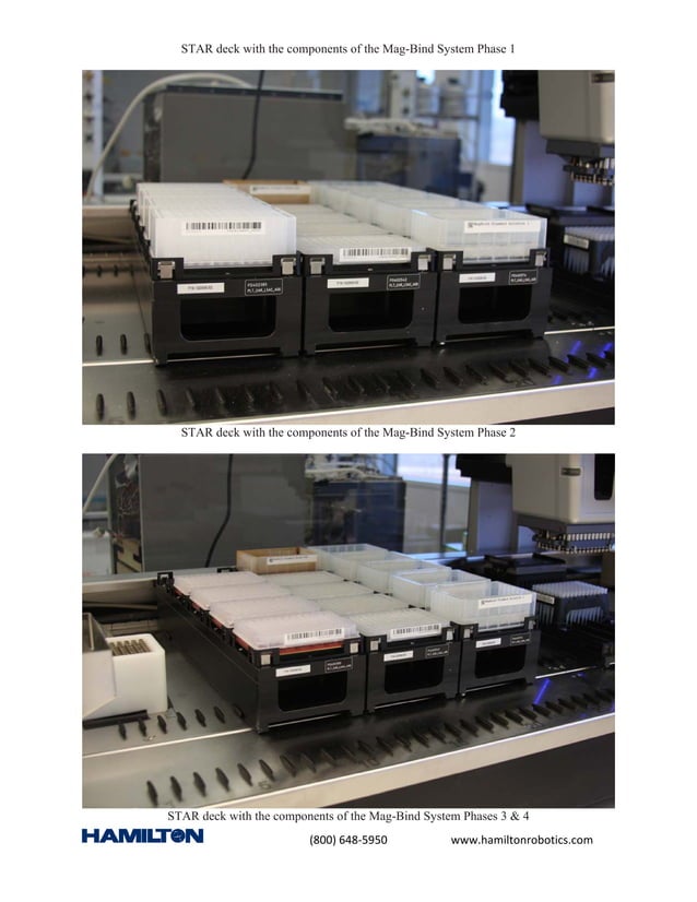 Hamilton Omega-Biotek Plasmid MagBead Application System Overview | PDF