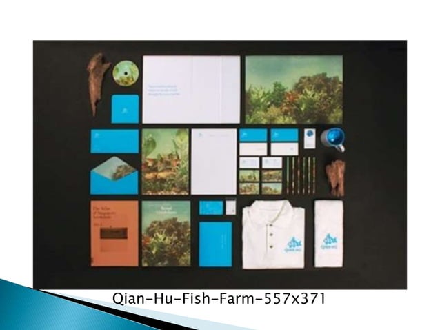 49 contoh corporate identity untuk branding bisnis | PPTX