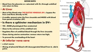 49 FETAL CIRCULATION CONGENITAL ANOMALIES OF HEART.pdf