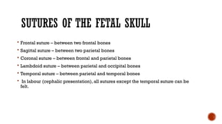 Fetal Skull detailed study in Obstetrics mainly for medicos | PPTX