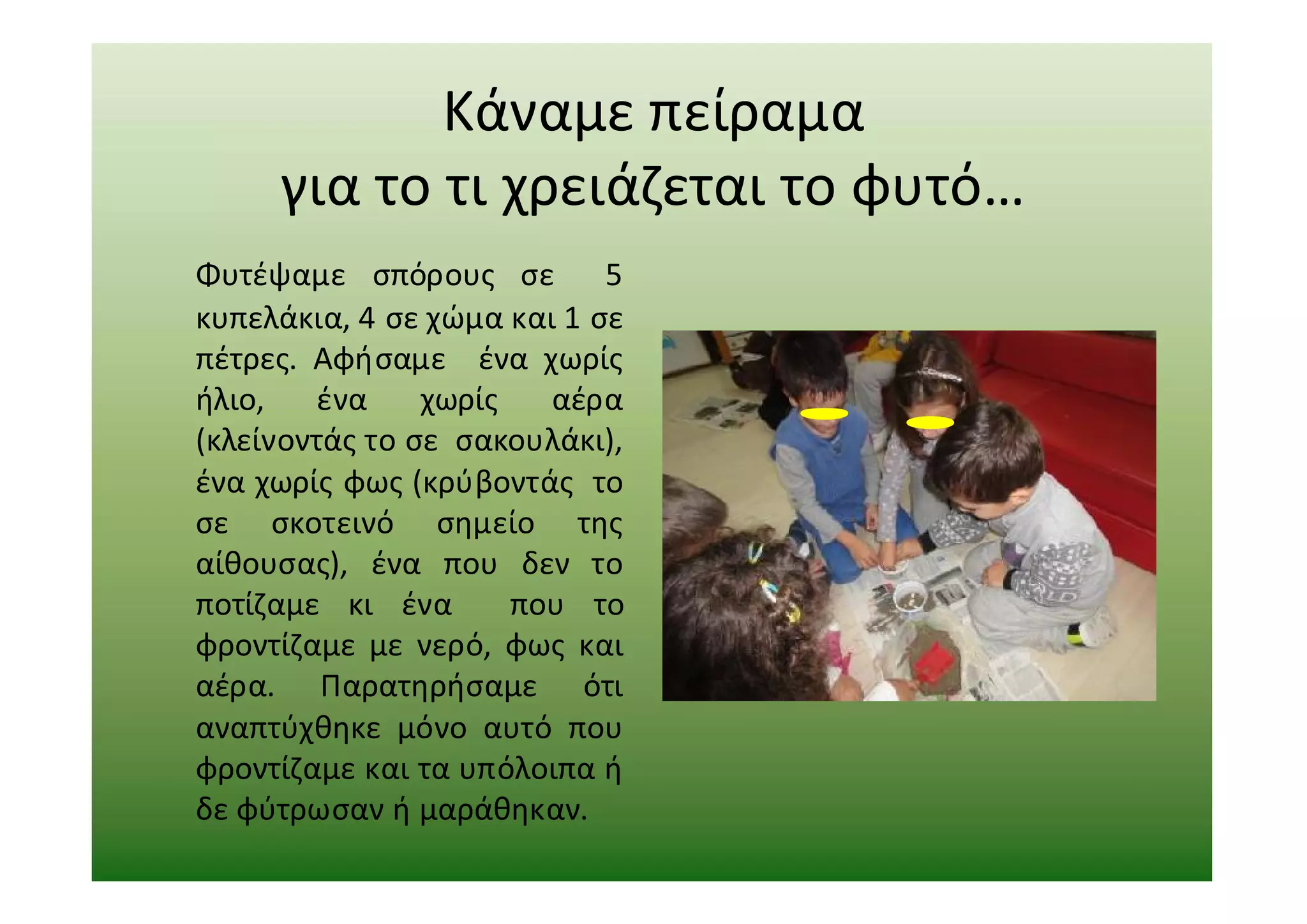 Ένα σποράκι ταξιδεύει … | PDF