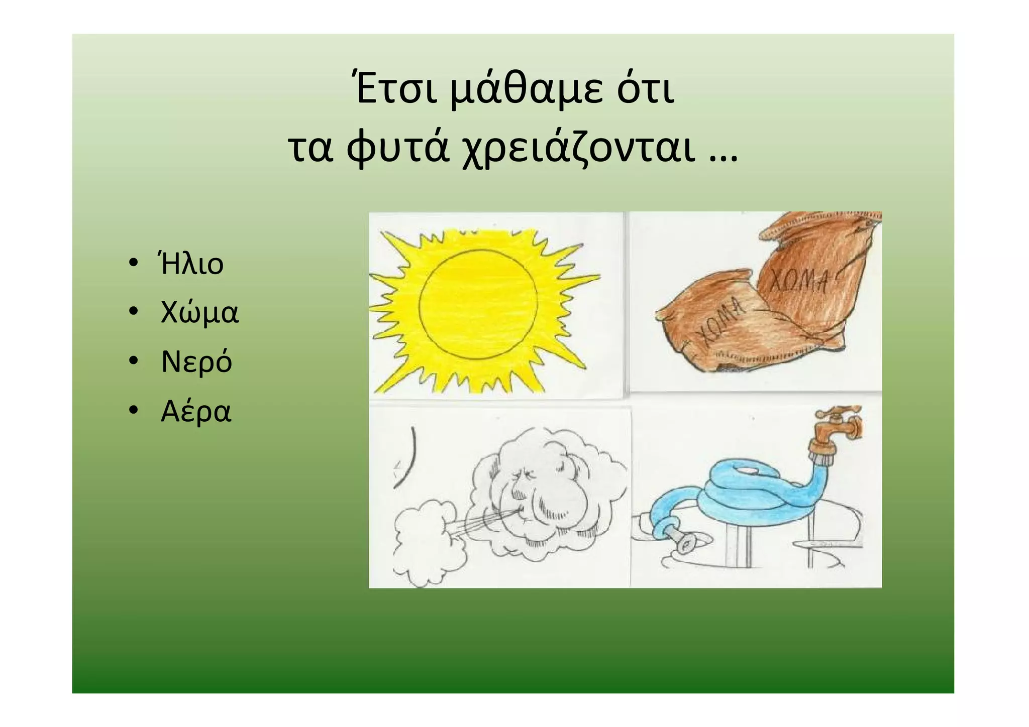 Ένα σποράκι ταξιδεύει … | PDF