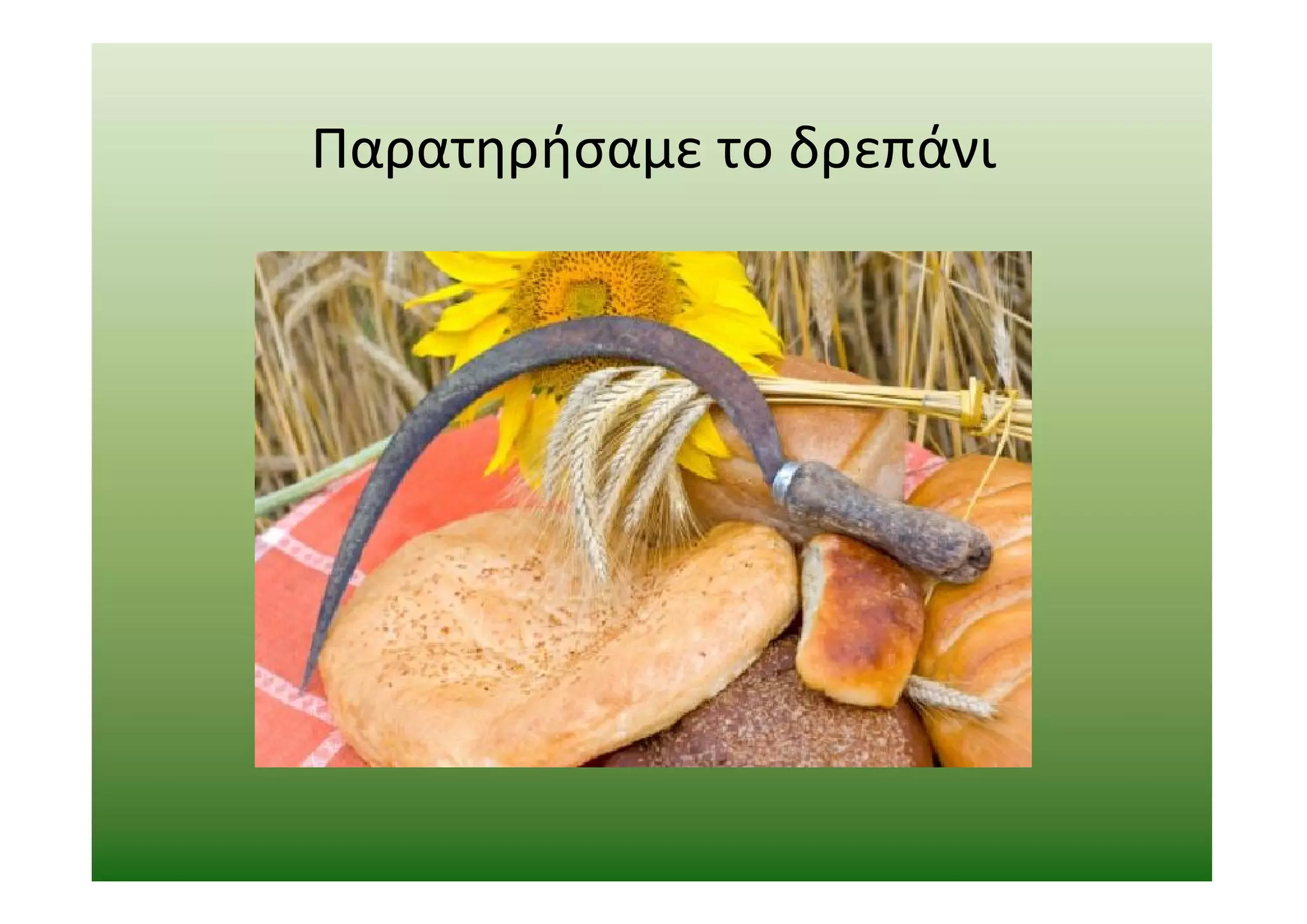 Ένα σποράκι ταξιδεύει … | PDF