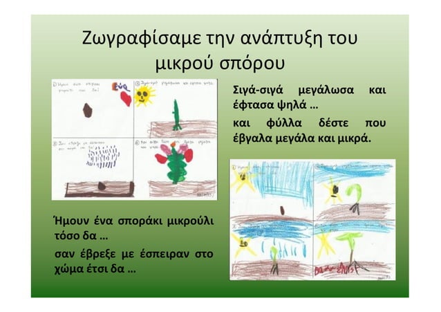 Ένα σποράκι ταξιδεύει … | PDF