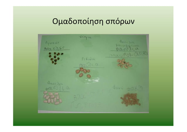 Ένα σποράκι ταξιδεύει … | PDF