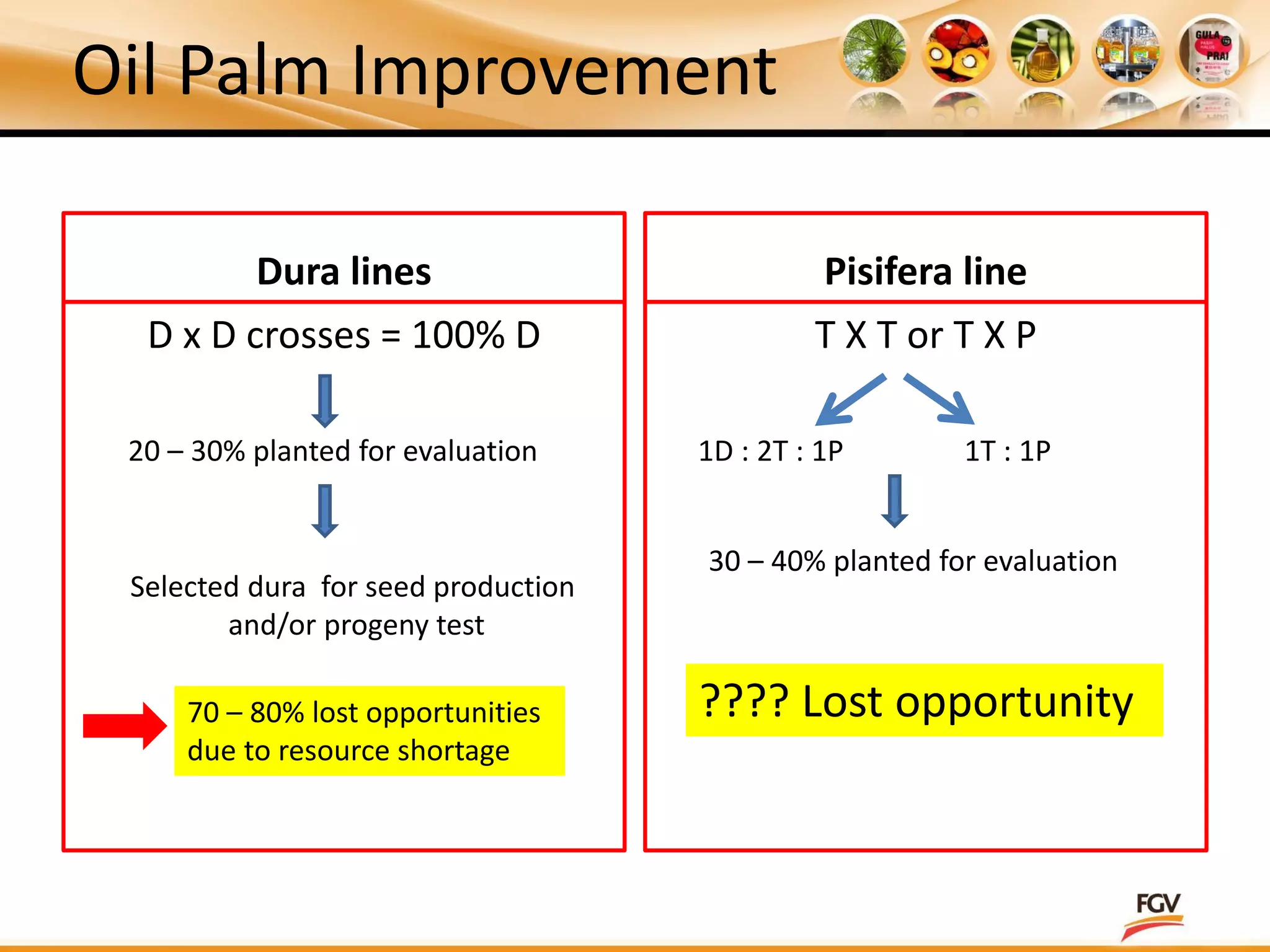 4a. Biobased crops - Sharifah Rabiah Syed Alwee | PPT