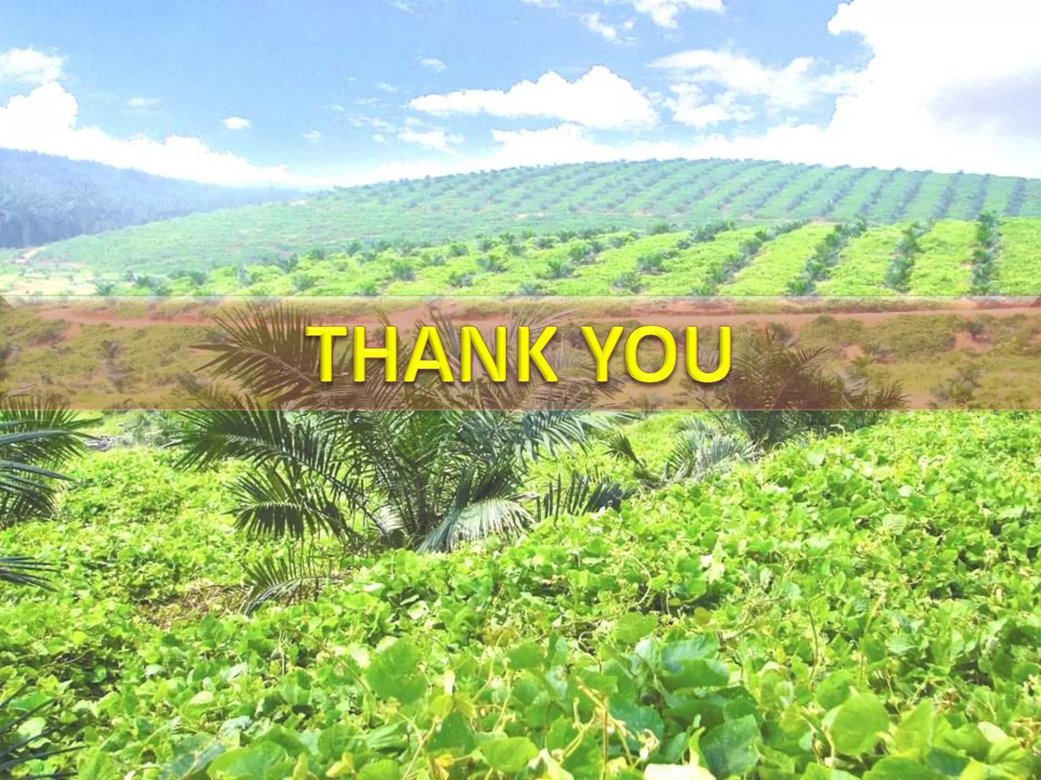 4a. Biobased crops - Sharifah Rabiah Syed Alwee | PPT